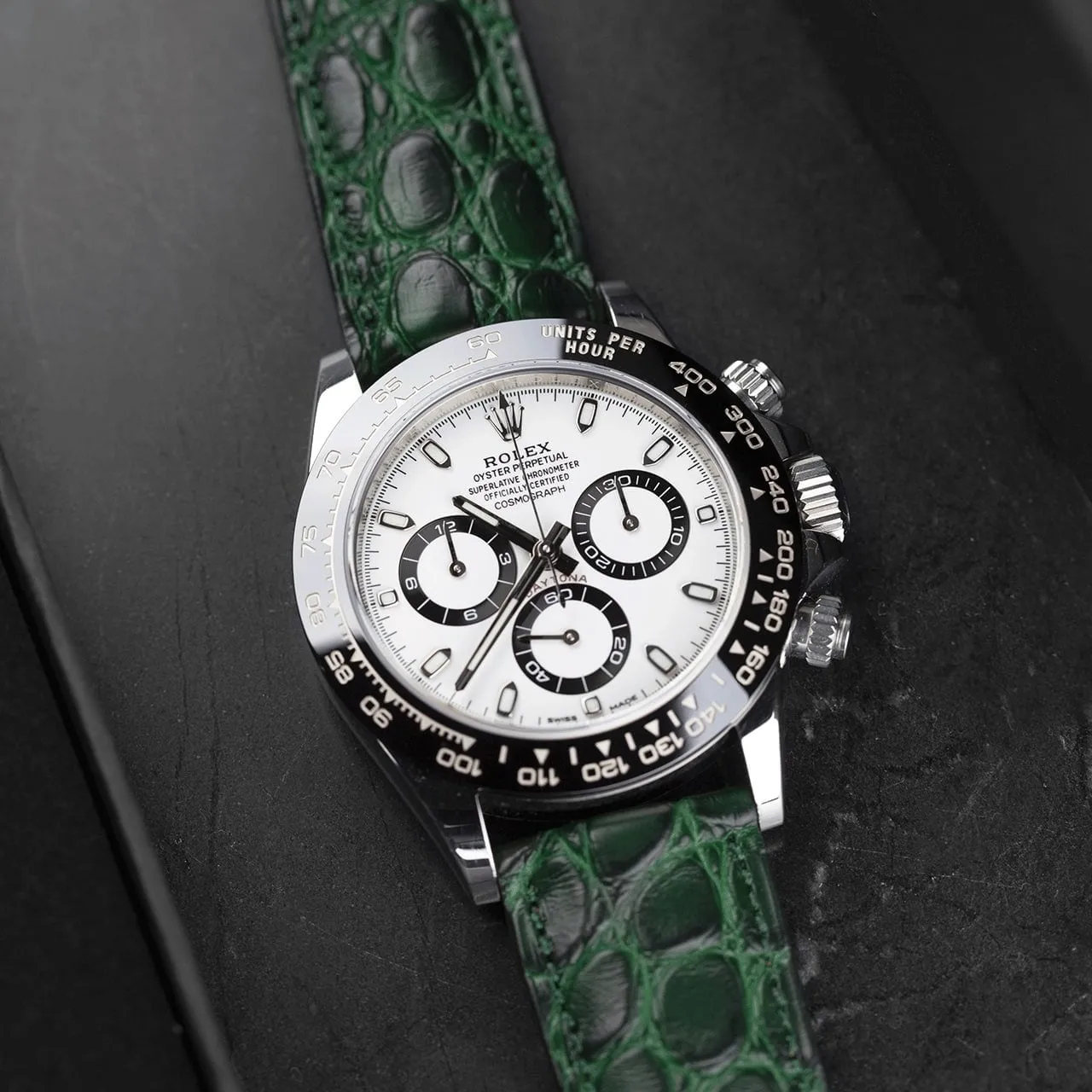 Handmade leather watch strap :Green Alligator Round scale | Drwatchstrap